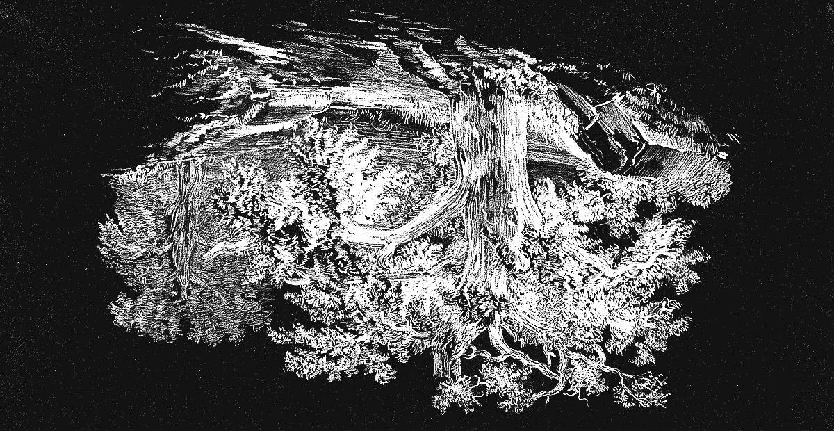 The Witch Ixtab & The Truest Friend Of Mankind, or: Autocannibalism ...