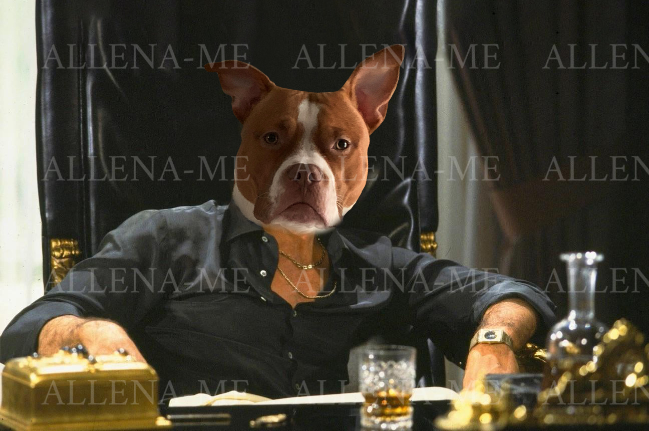 Wondering if anyone can put my dogs face on this picture from the scene ...