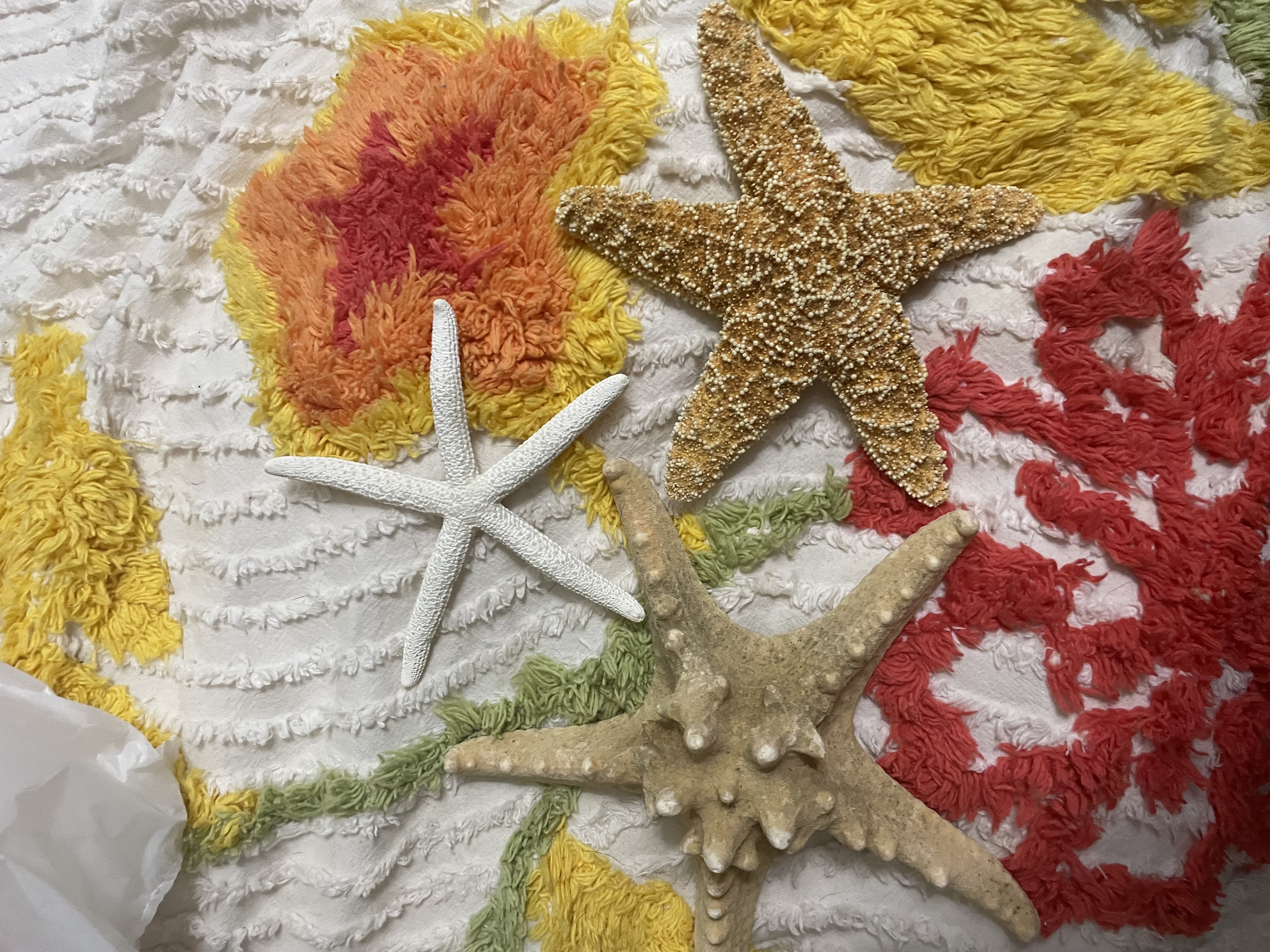 Introducing myself! — MyFigureCollection.net