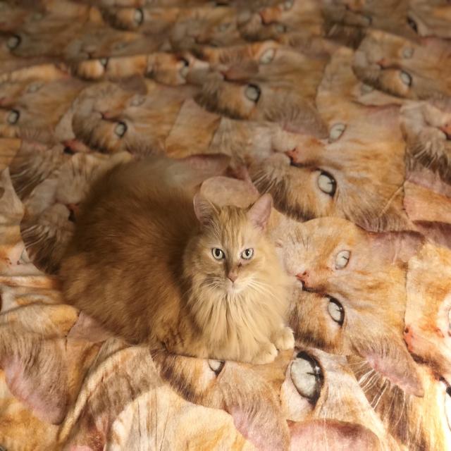 GitHub - haotien91/HPC-II-24_Week03-Container: This is a homework for ...