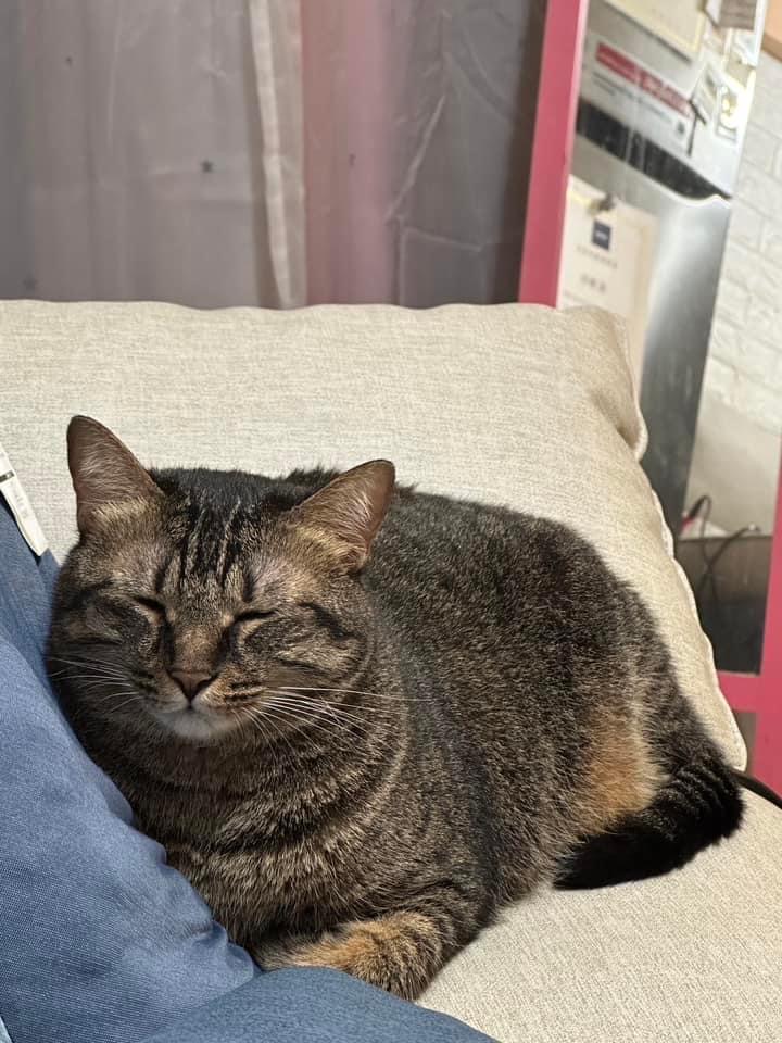 HPC-II-24_Week03-Container/README.md at main · haotien91/HPC-II-24 ...