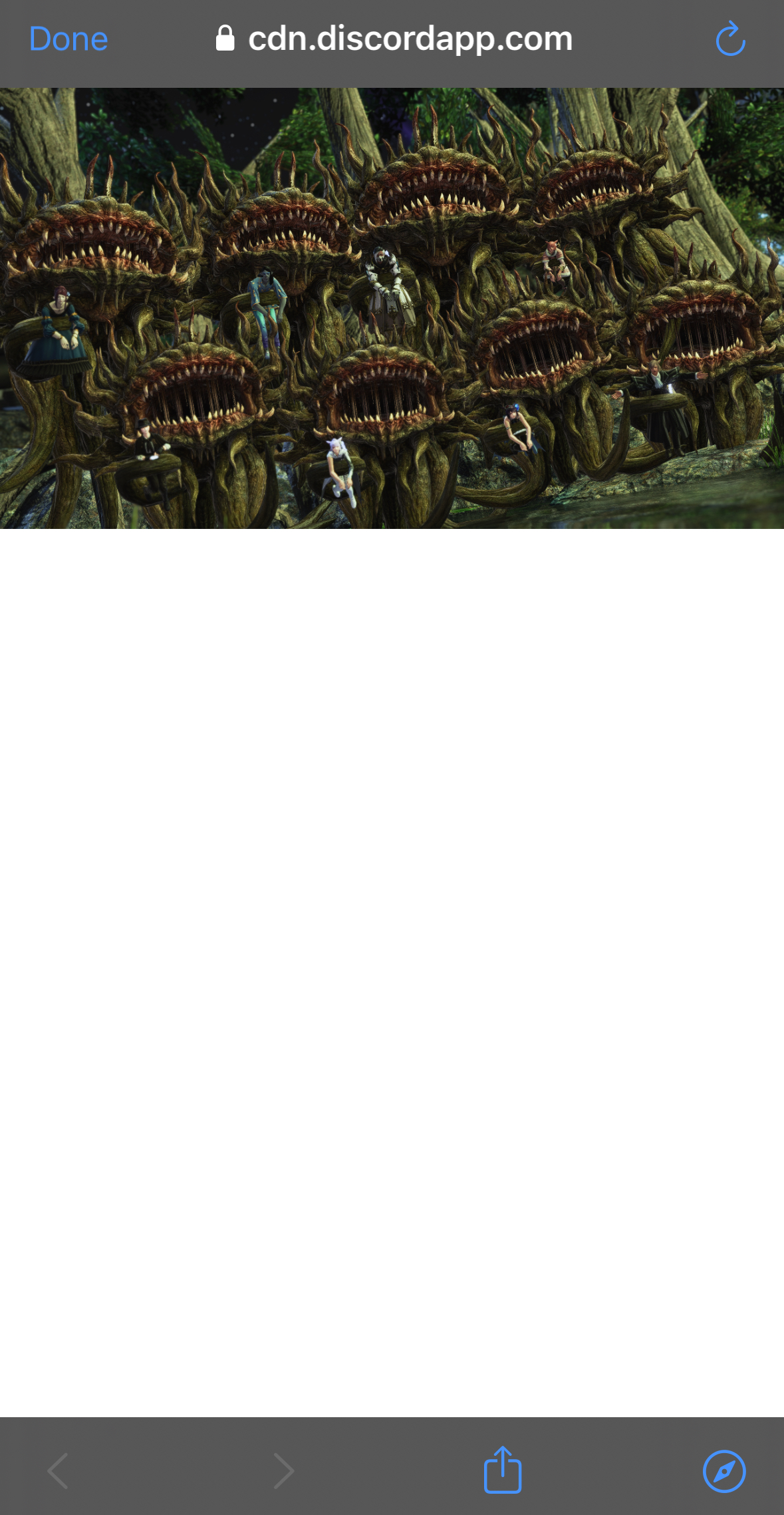 I was witness of an assembly of the Morbul tamers : r/ffxiv