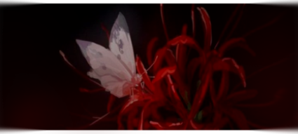 yaoicream ( Yaoi ) · GitHub