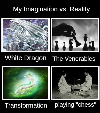 Imagination vs. Reality : r/ReverendInsanity
