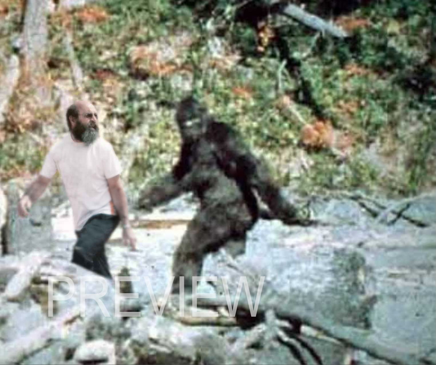 Please photoshop my dad and Sasquatch into the same believable picture ...