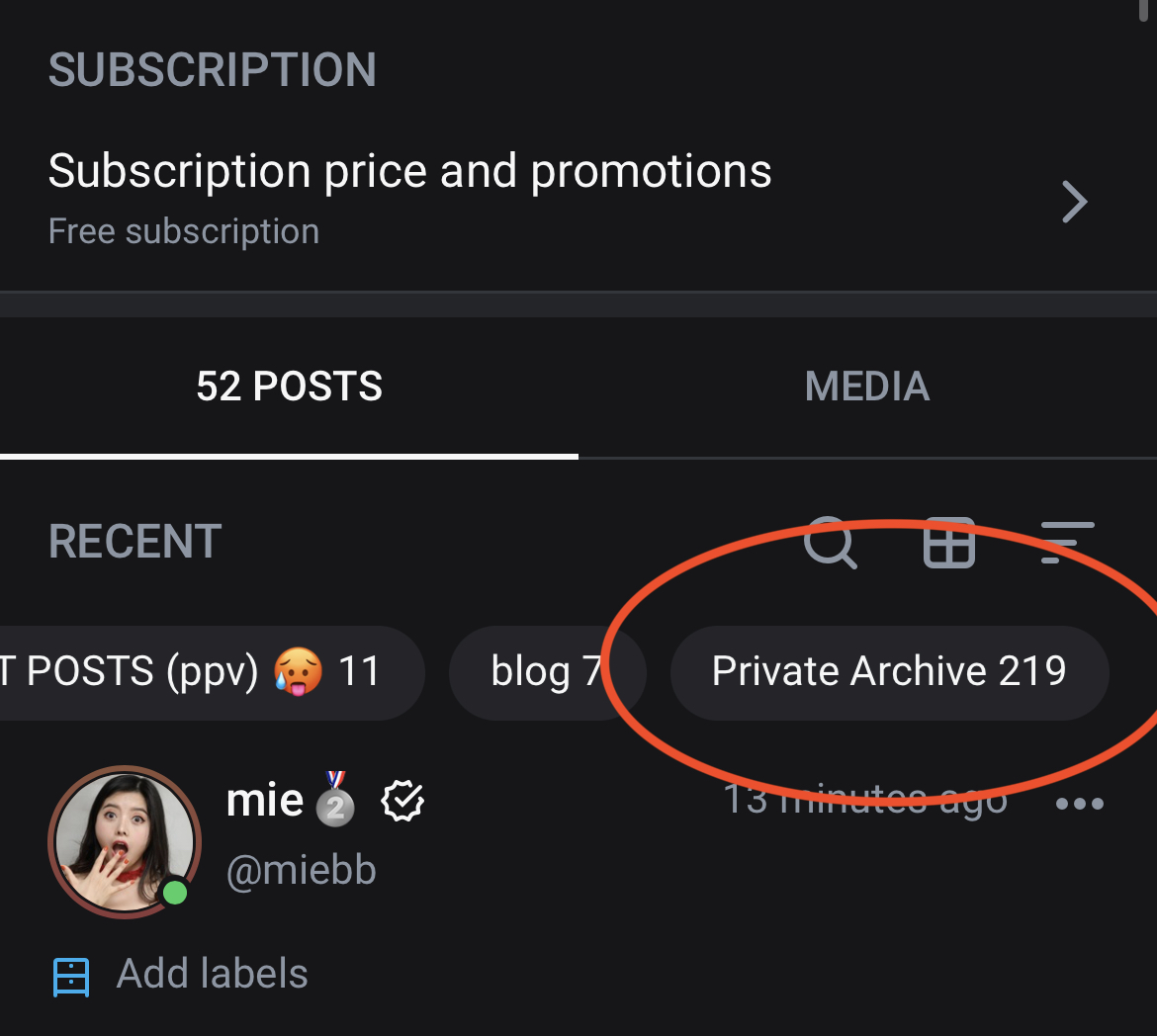 overview for miekoio