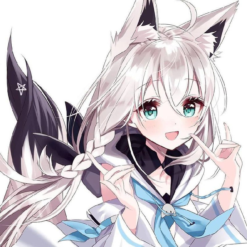 GitHub - Ling-ex/Neko-Chan: (WARNING: Force Push Everytime)