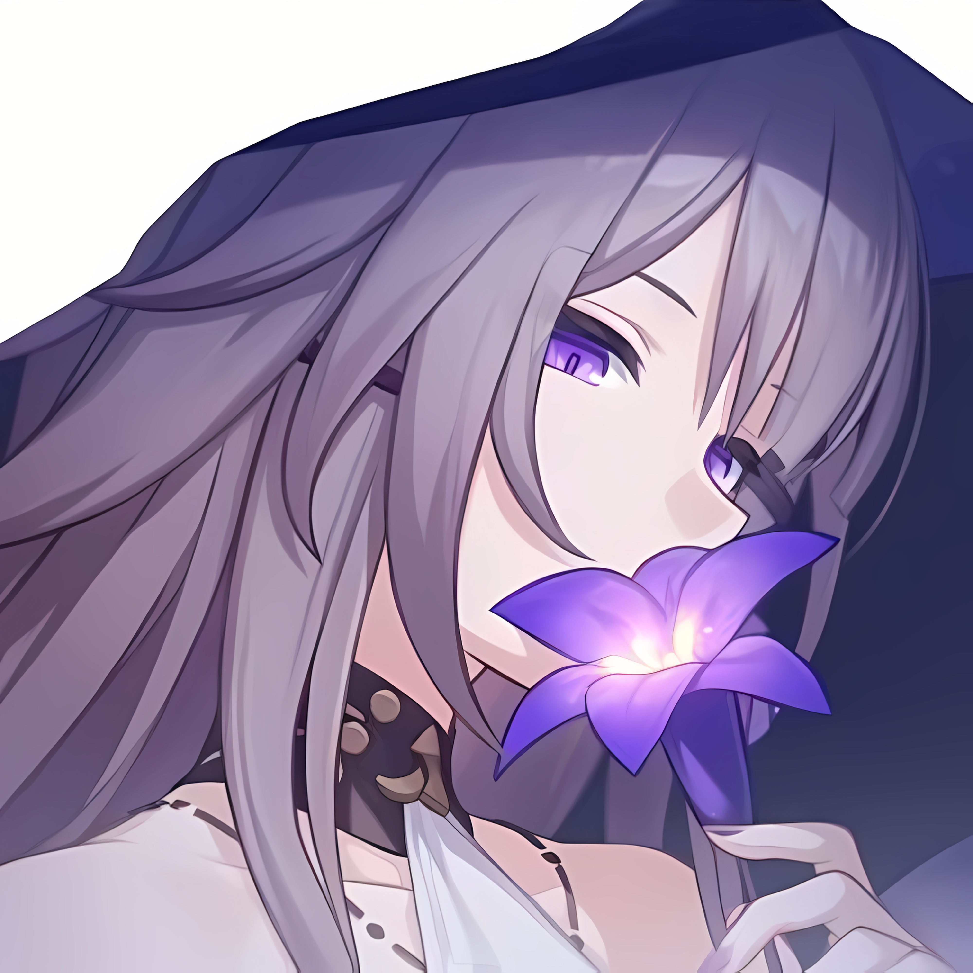 Pin on .ㅤ hsr & hi3