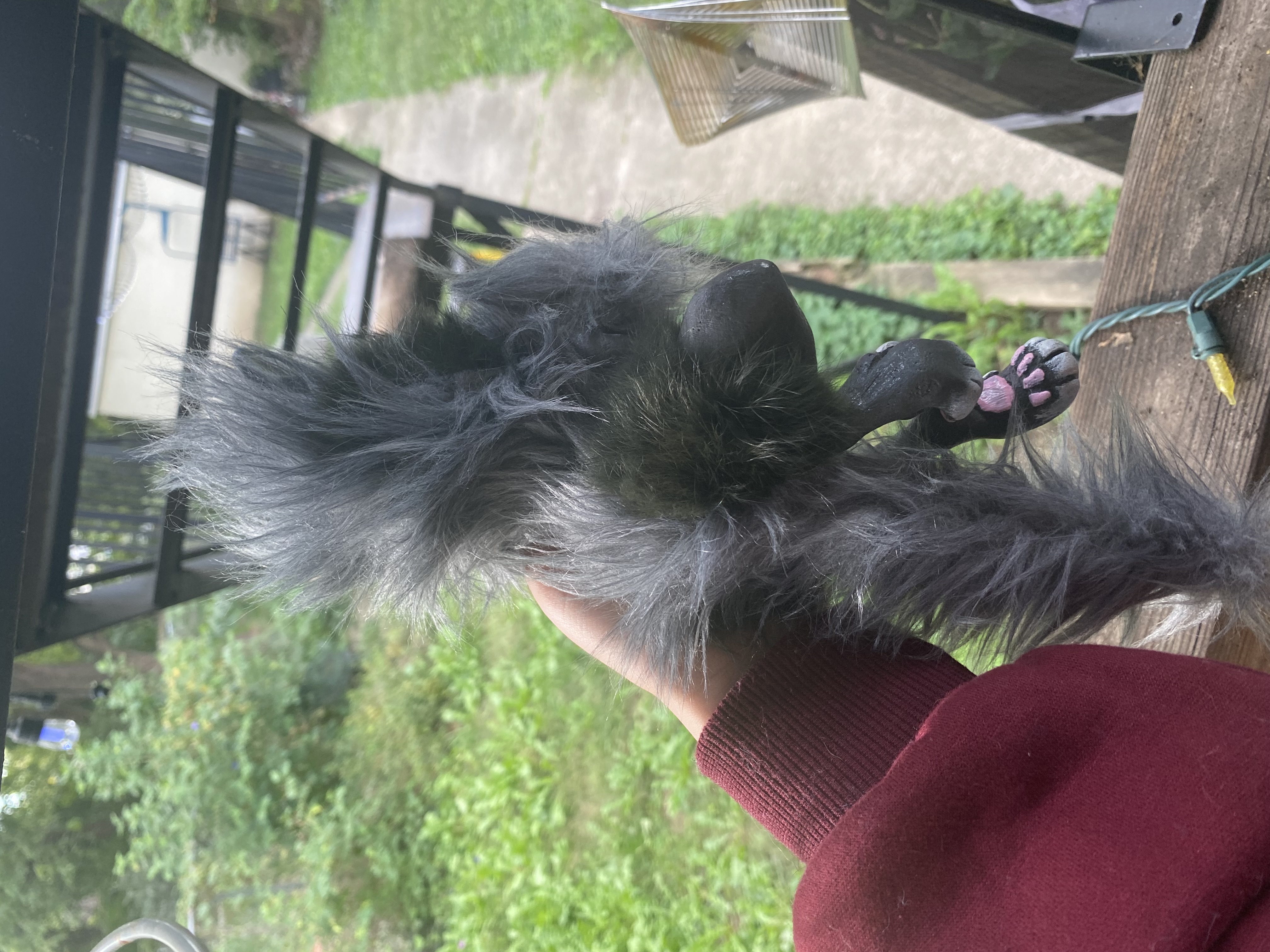 YCH looped pfp ($2) on Toyhouse