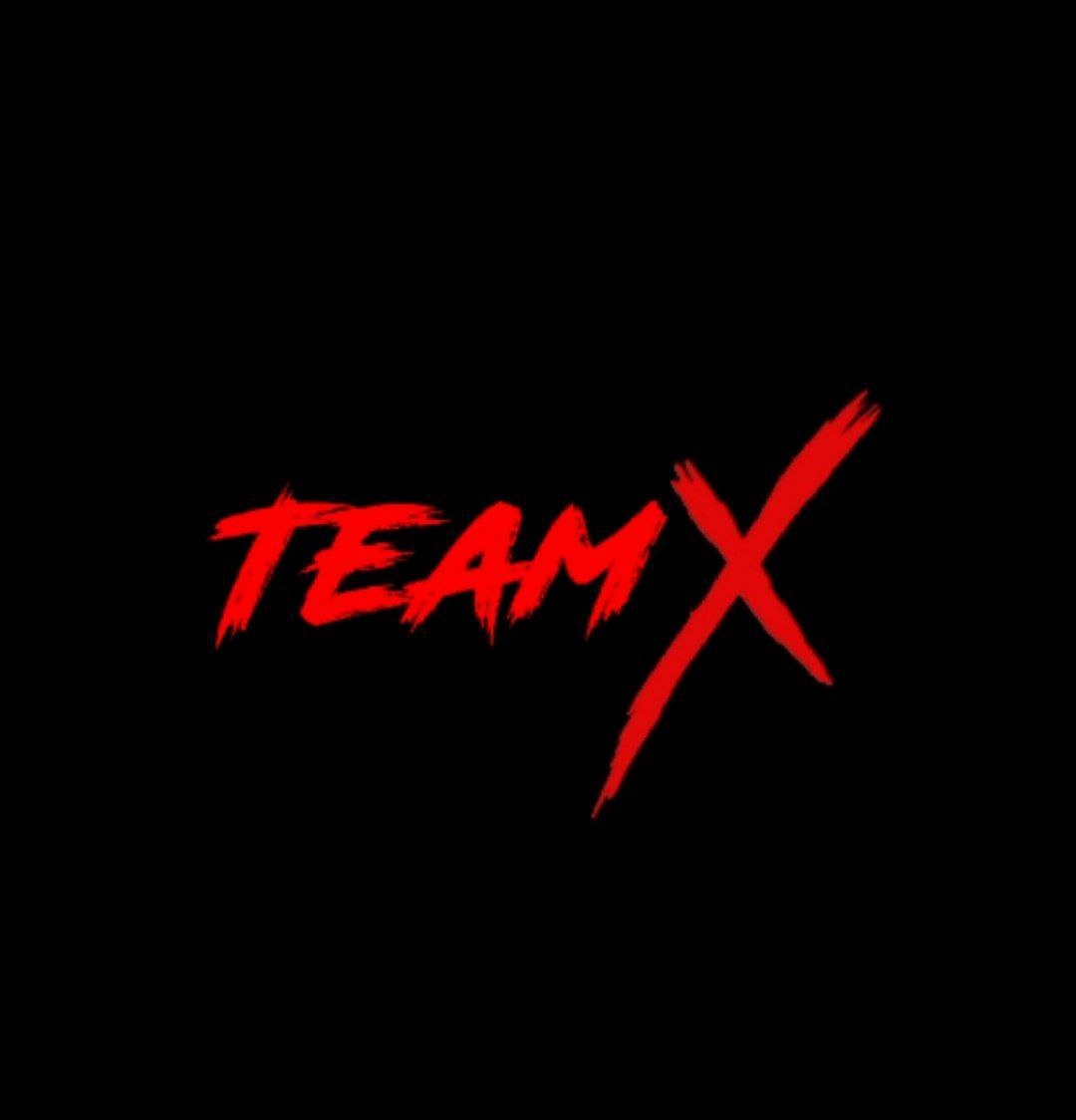 GitHub - strad-dev131/TeamXmusic2.0