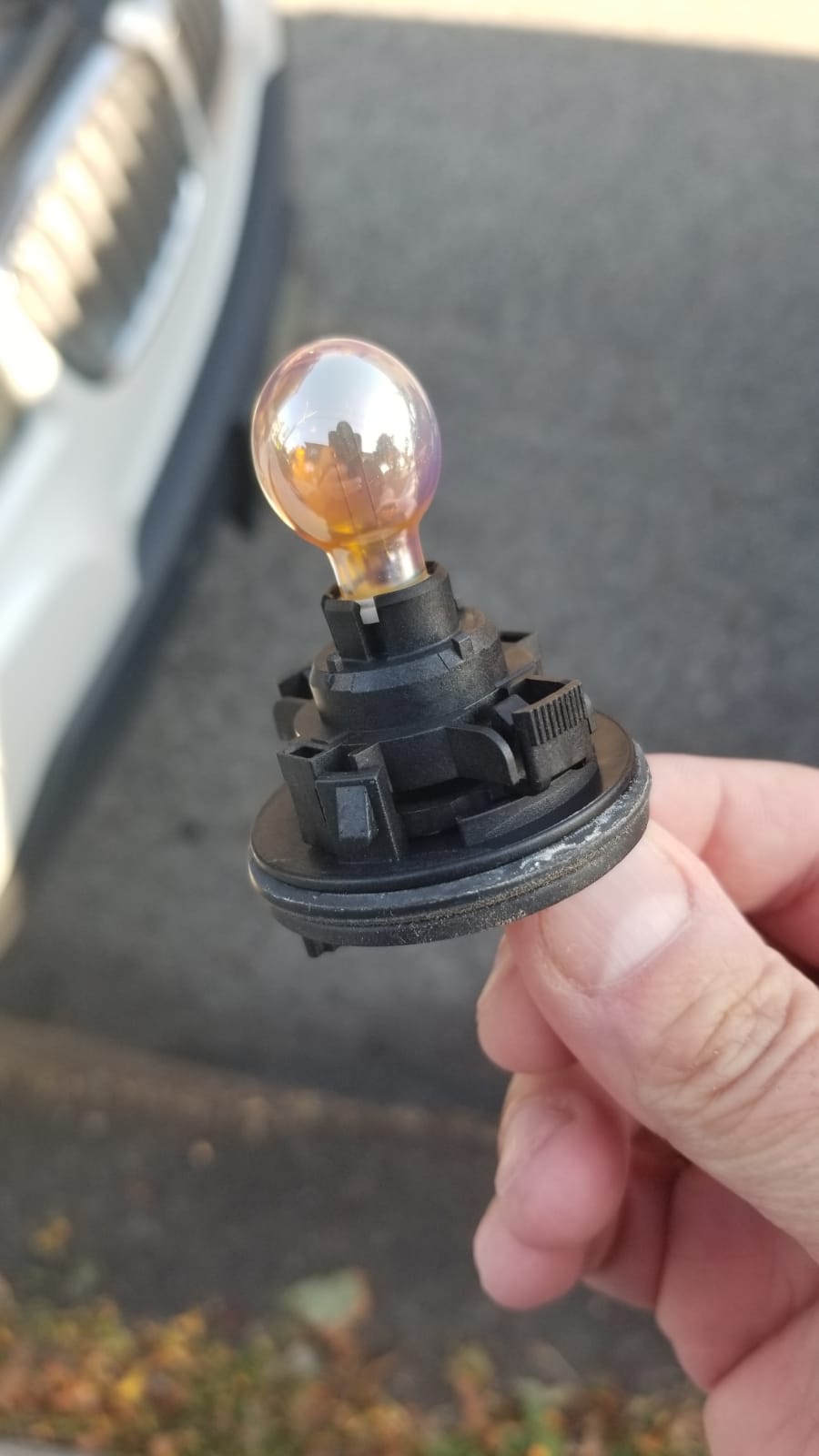 Which bulb is the "side light"? | BimmerFest BMW Forum