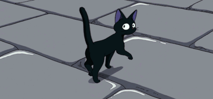 Jiji Cat Gif