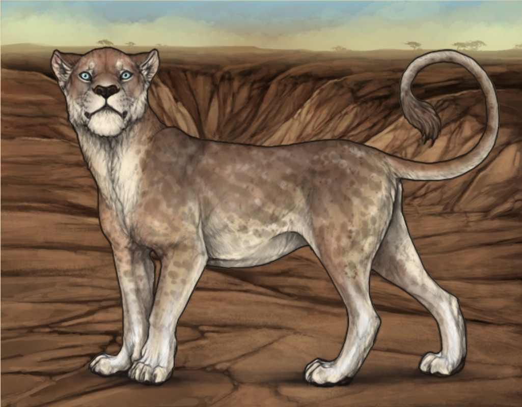 Claimable project designs :|: Lioden