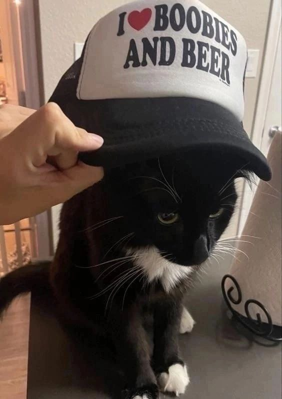 I LOVE BOOBIES AND BEER by DrawsWhenHungry on DeviantArt