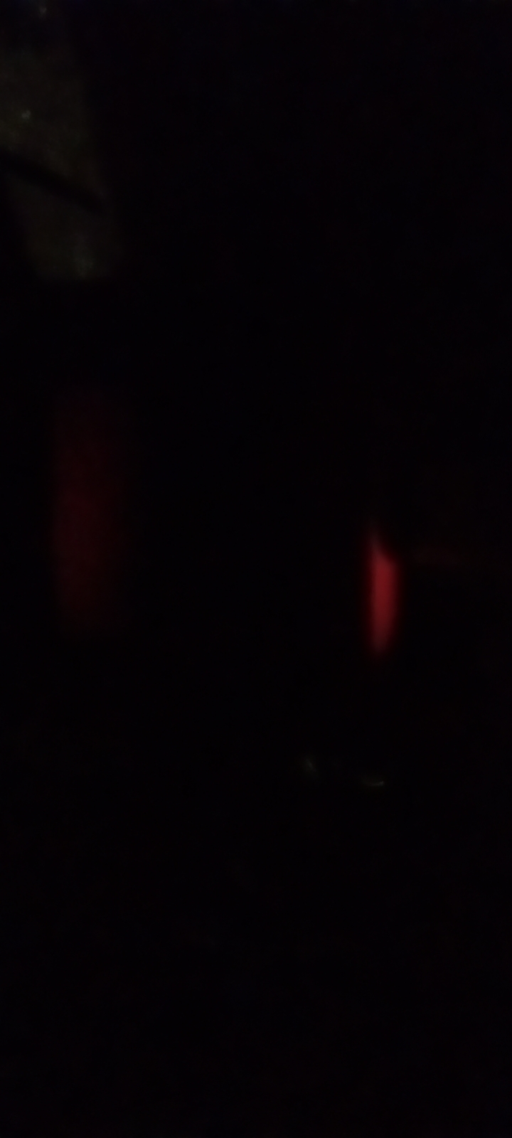 General chat thread | Page 187 | Questionable Questing