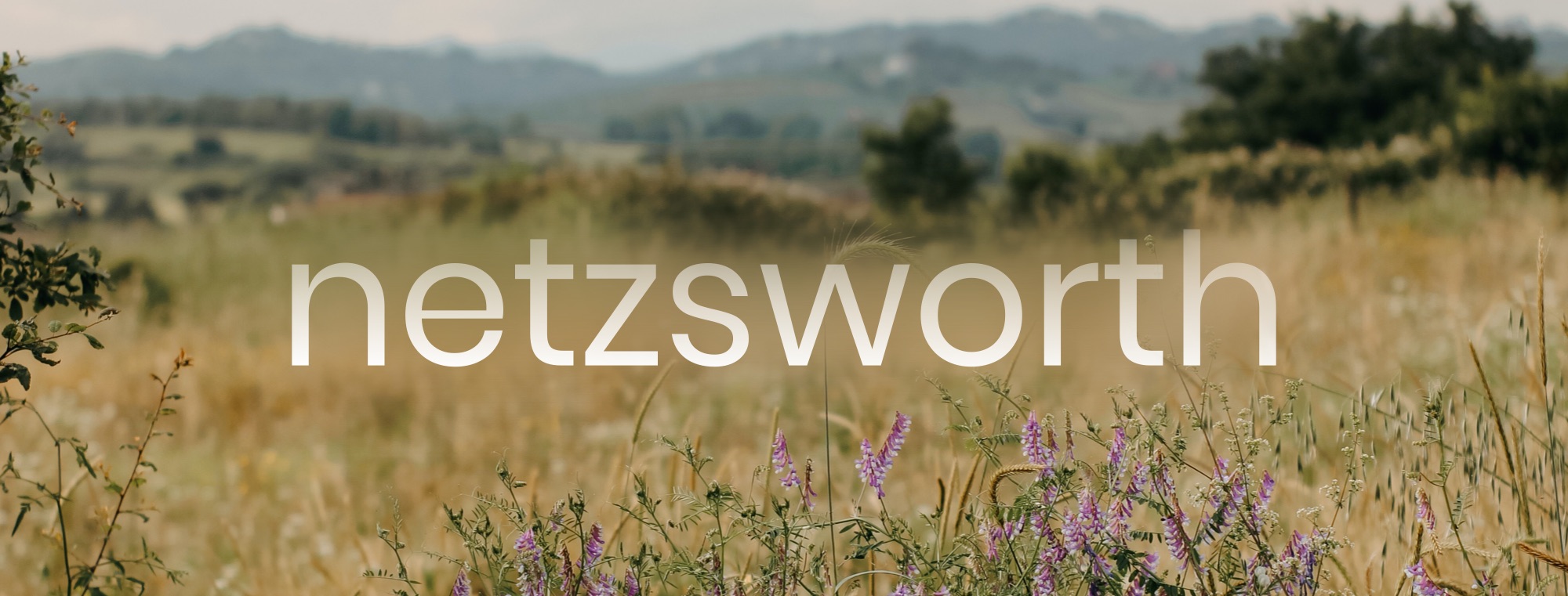 netzsworth (Tạ Khải) · GitHub
