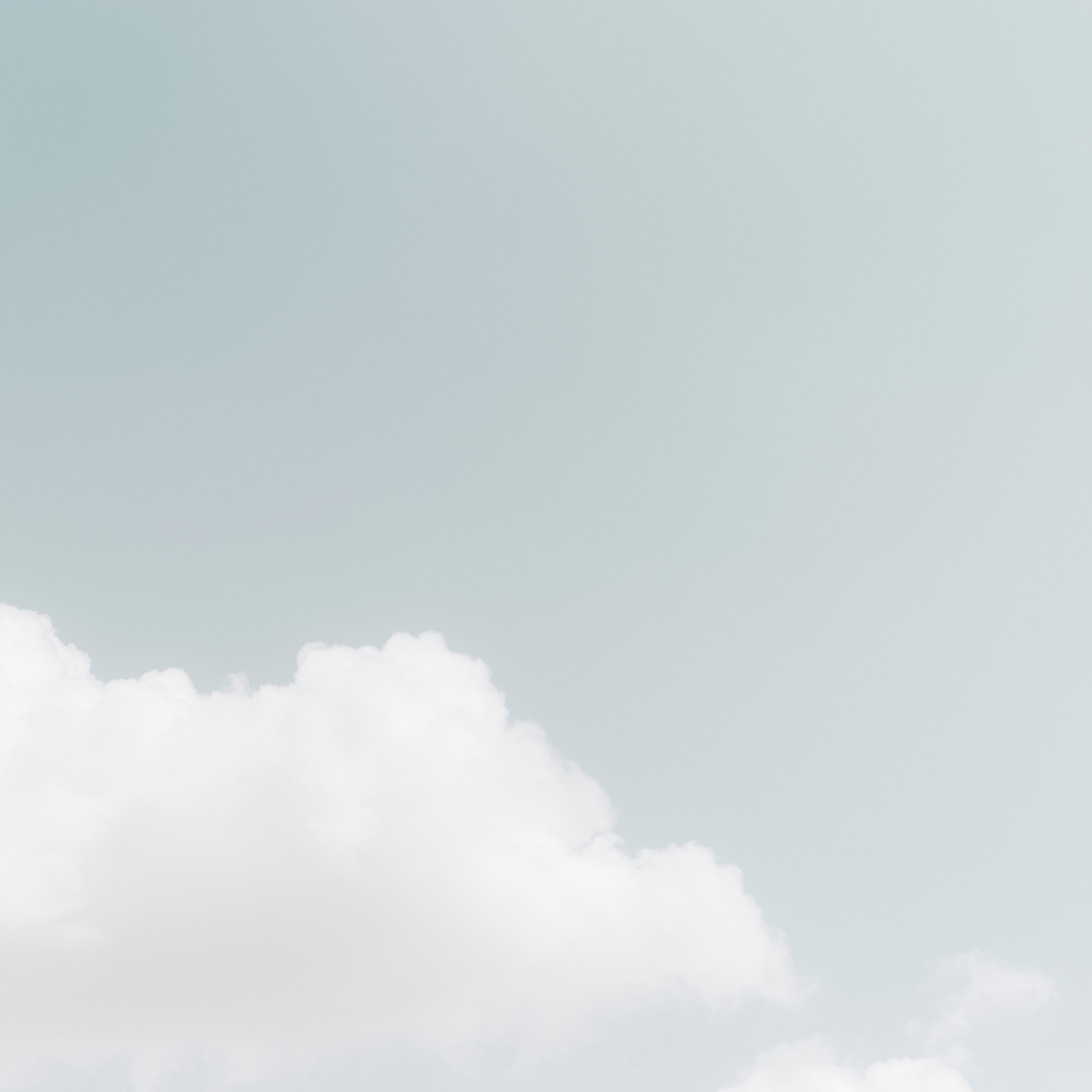 Adam🦴 on Toyhouse