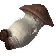 comradeindiaman came back lol check ban appeals | Incels.is ...