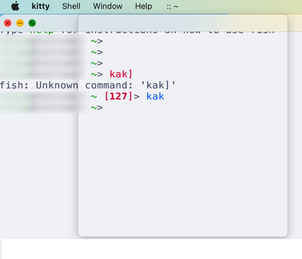 Kitty's window misbehaviour and crash on MacOS · Issue #6454 ...