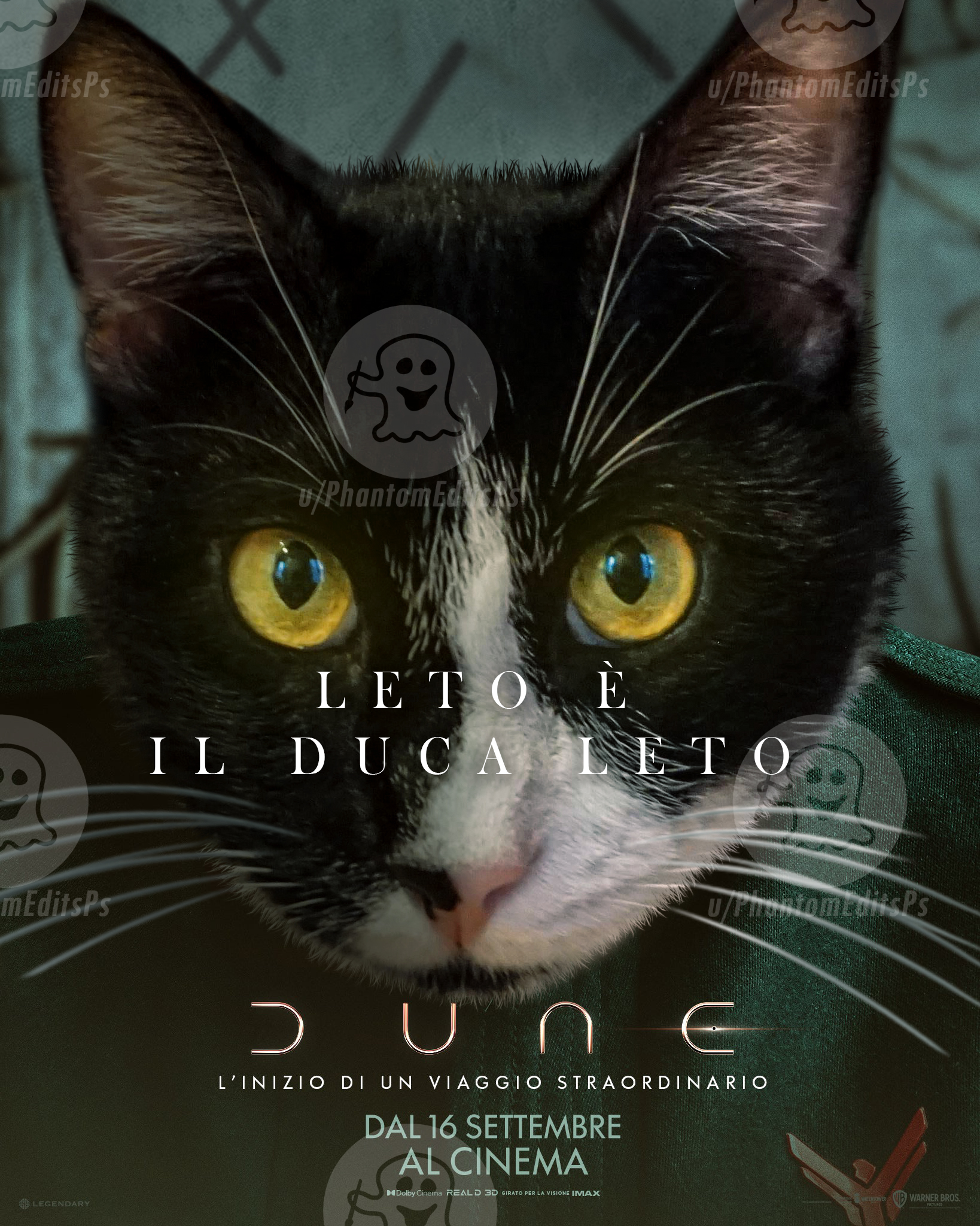 This is my cat, Leto, That is the poster of Duke Leto from Dune (which ...