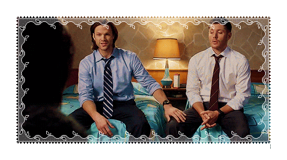 MissSkunky (🦌🦨gibi🦨🦌) · GitHub