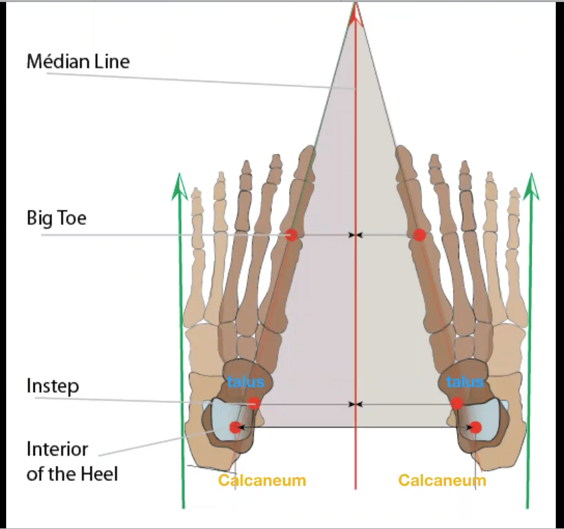 Fix for walking on the outer sides of your feet? : r/Posture