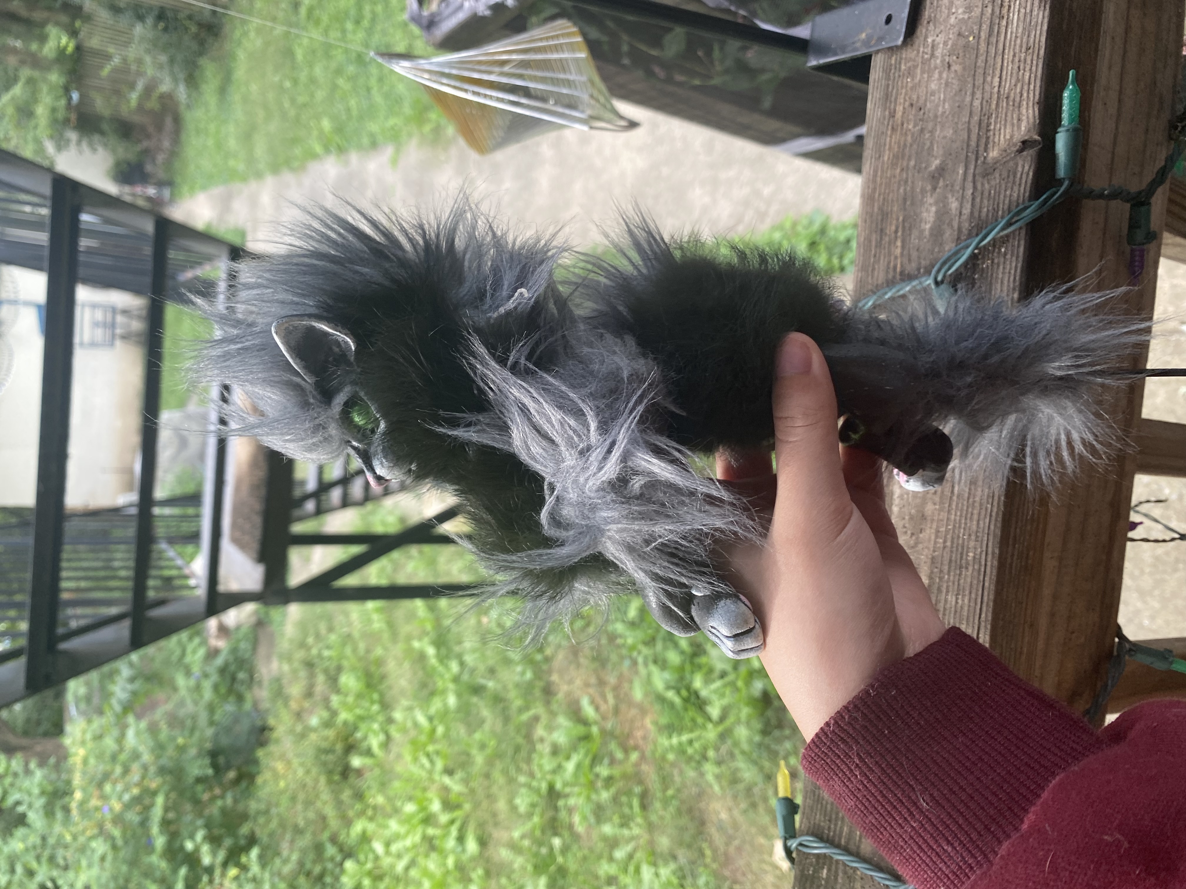 YCH looped pfp ($2) on Toyhouse