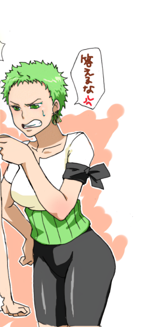 Female Roronoa Zoro (The rescue had some consequences)