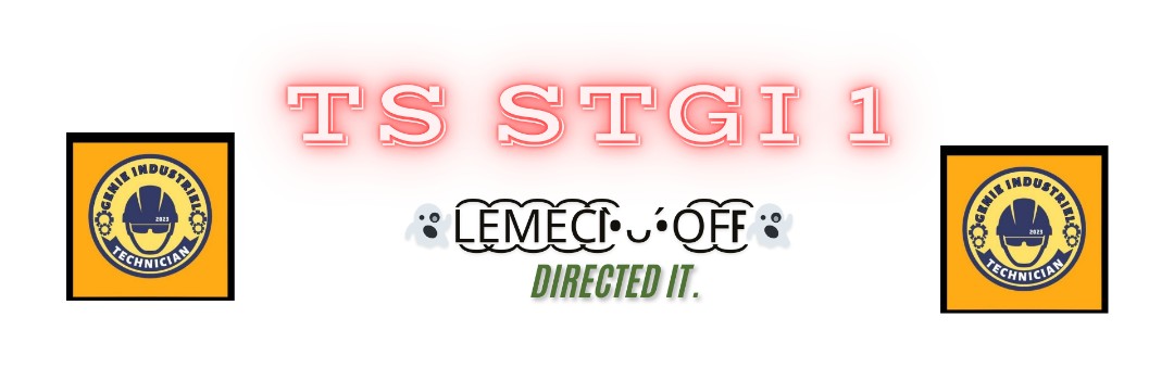 TS STGI 1