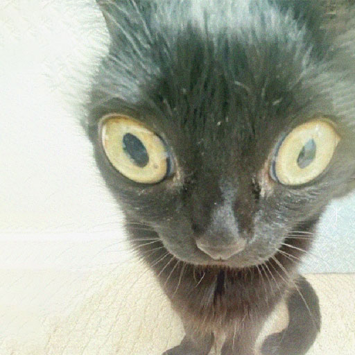 GaLaXyILY (GaLaXyILY) · GitHub