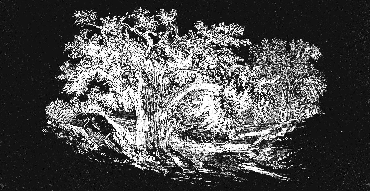 The Witch Ixtab & The Truest Friend Of Mankind, or: Autocannibalism ...