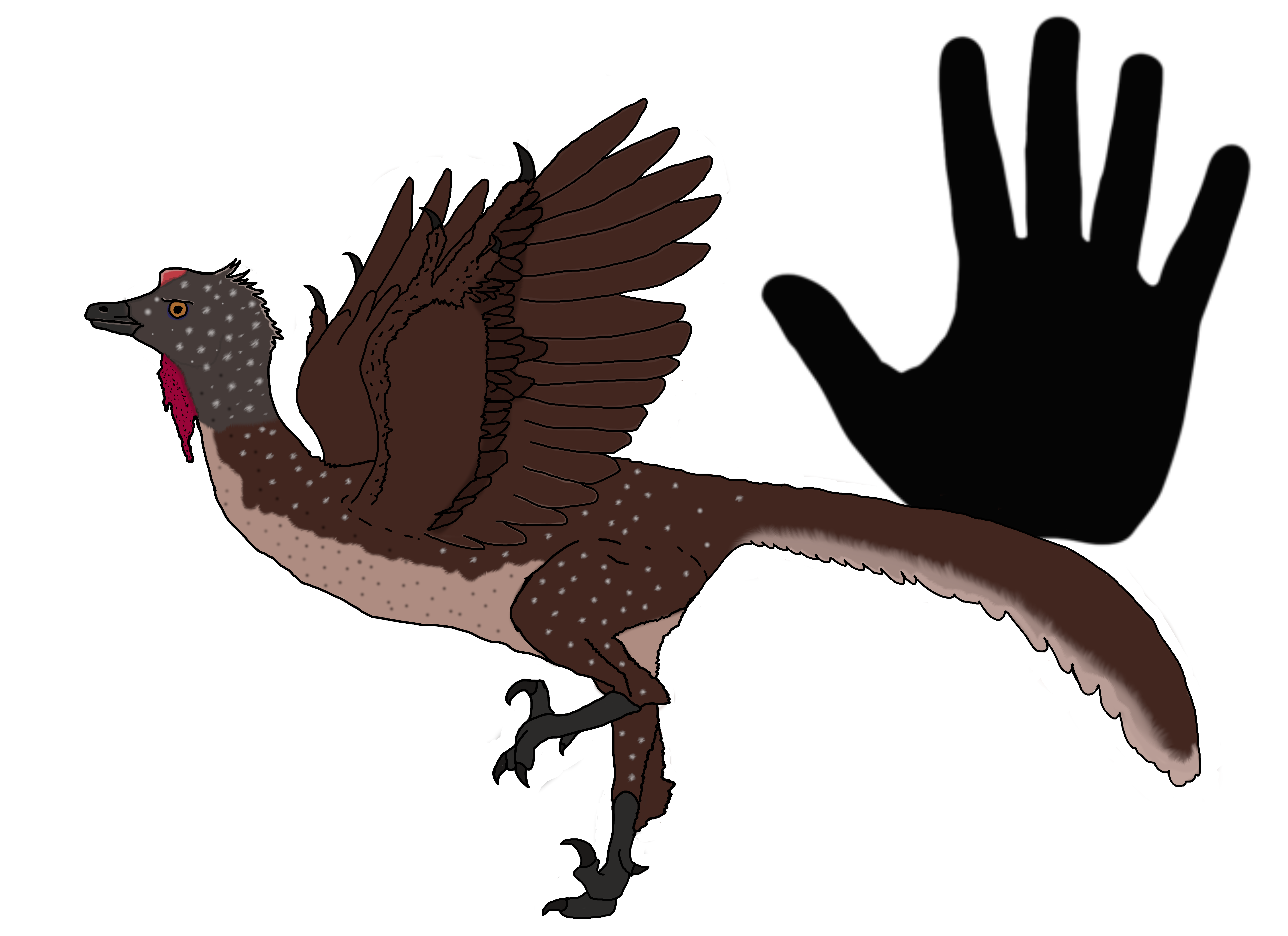 Speculative Evolution -> Here Be Dragons: The survival of Basal Avialans