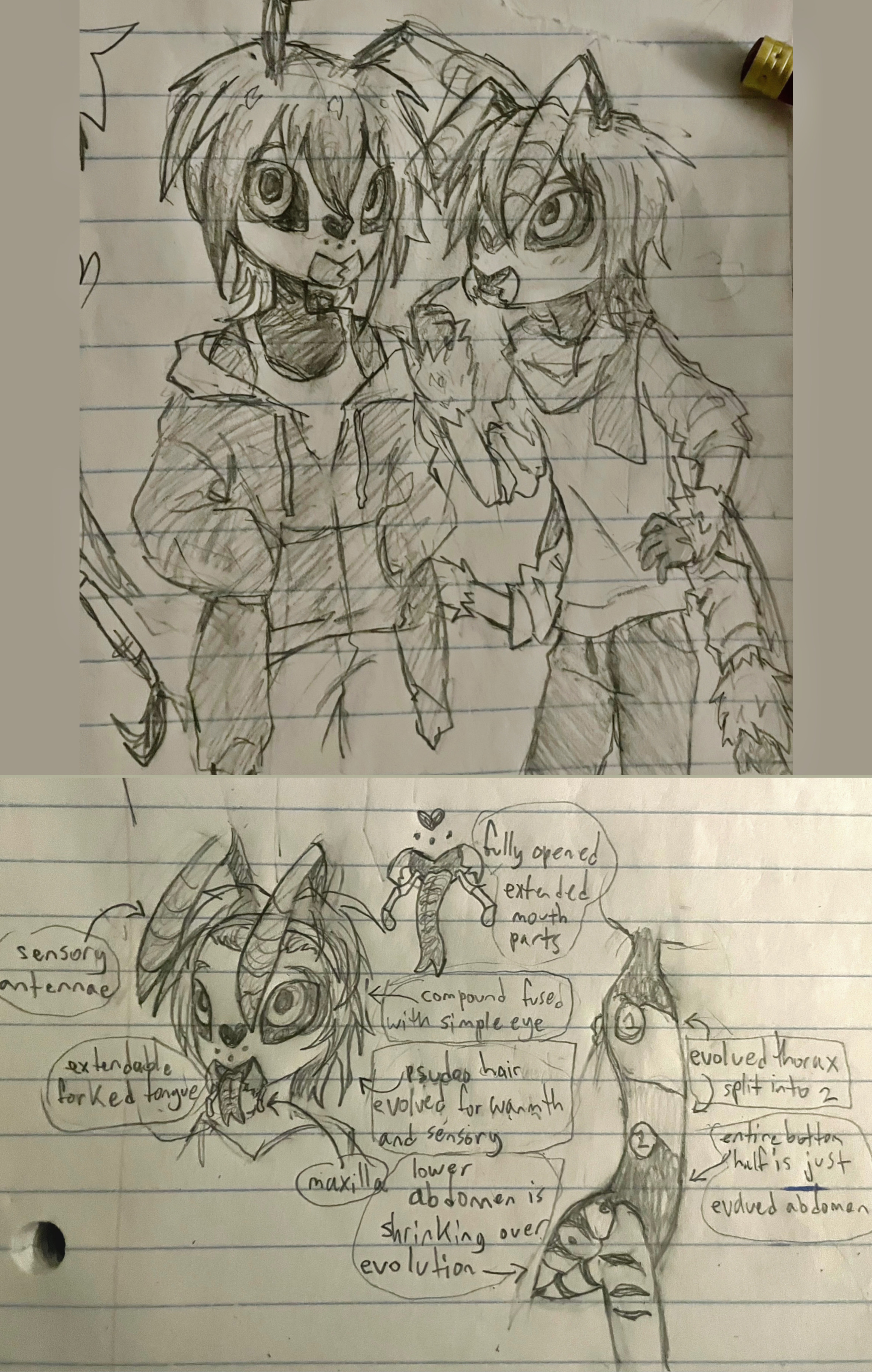 how do we feel about insect OCs? this is my OC, he's a wasp. : r/furry